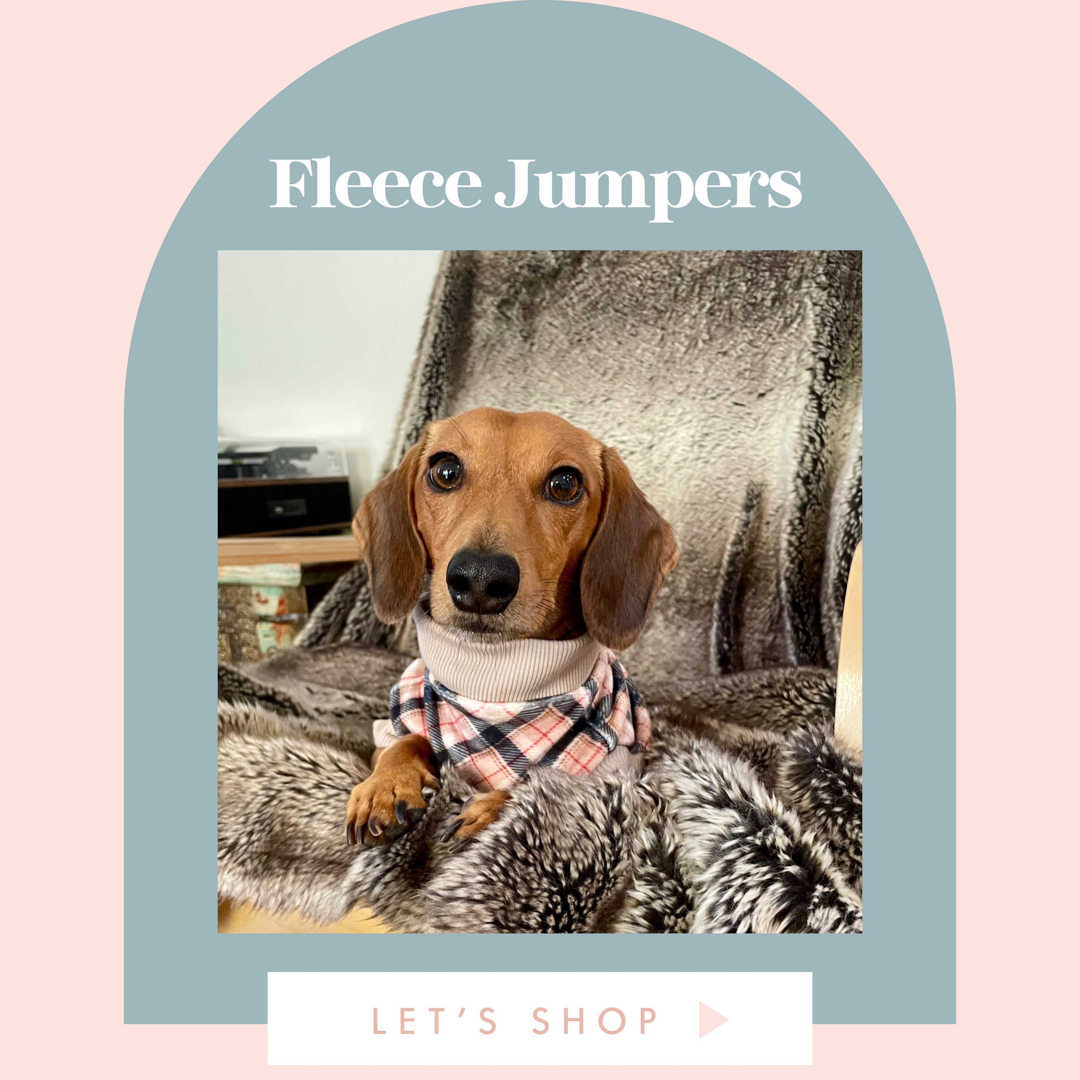 Dachshund Jumpers, Dachshund Sweaters, dachshund clothing, dog apparel ...